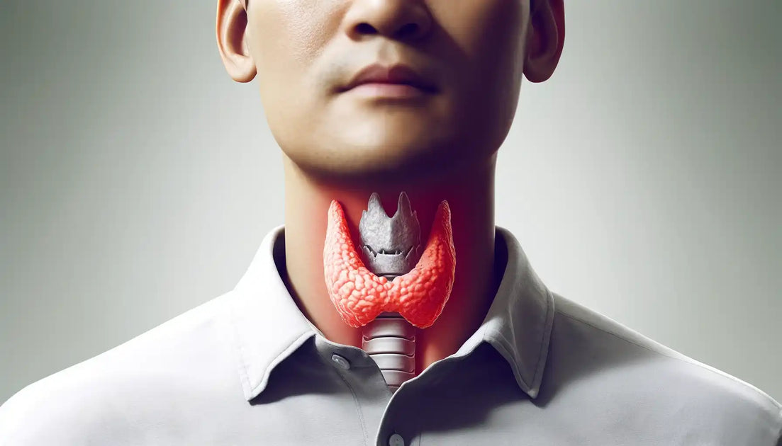 Totul despre Hipotiroidism: Simptome, Tratamente, Suplimente – Fitness ...